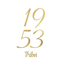 Friboi Food Solutions