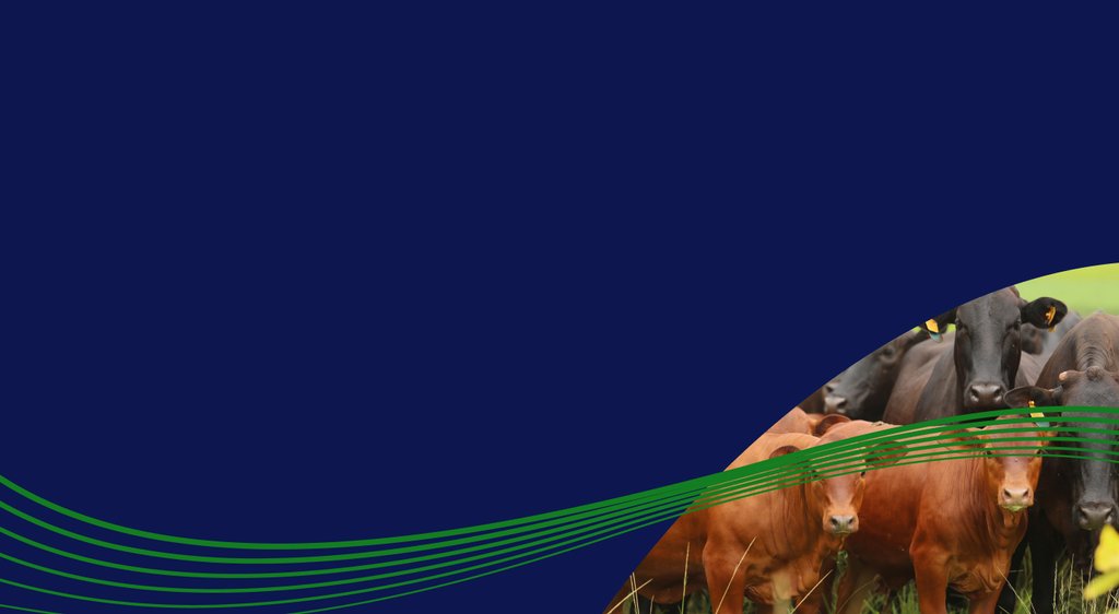 Nossos Projetos | Friboi