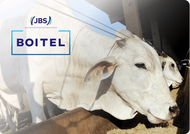 Nossos Programas | Friboi